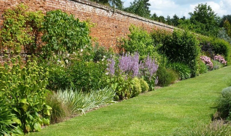 Quelles plantes le long d’un mur à l’ombre ? - Brico Déco Home